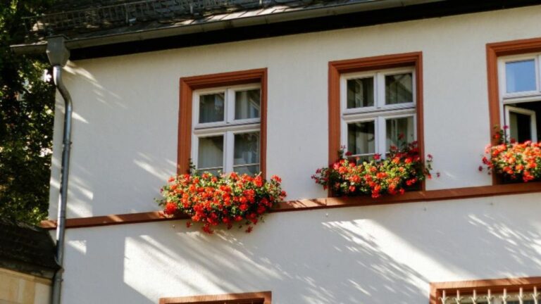 How Muntins Shape Residential Window Design – The Time Finder