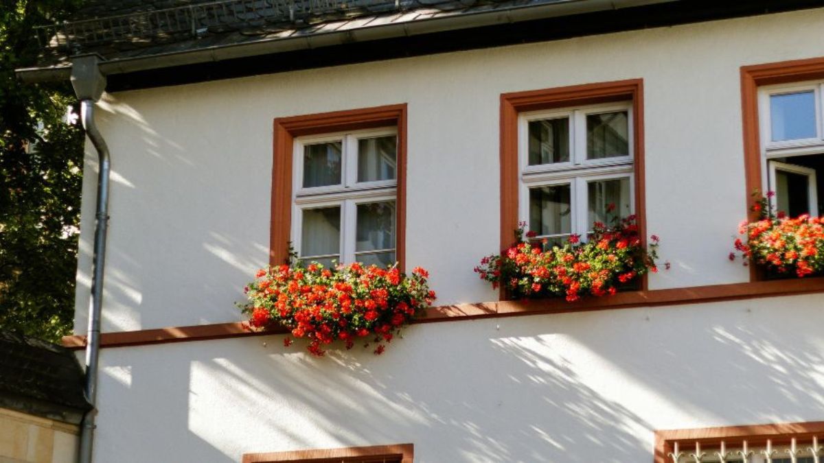 How Muntins Shape Residential Window Design